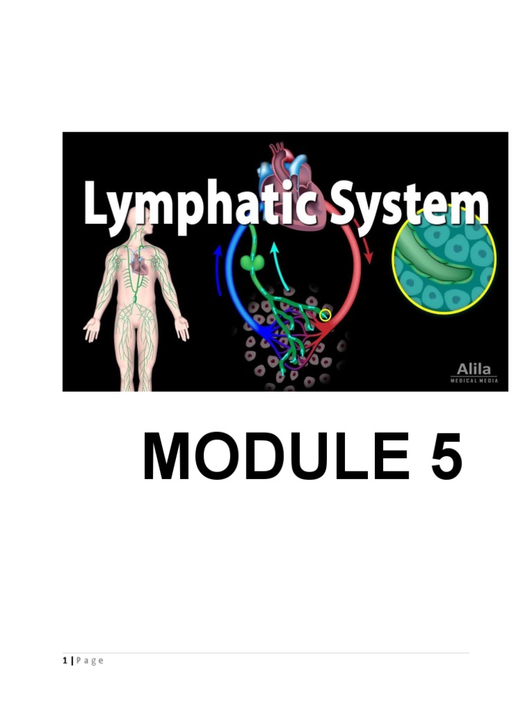 Module 5 | PDF | Lymphatic System | Immune System