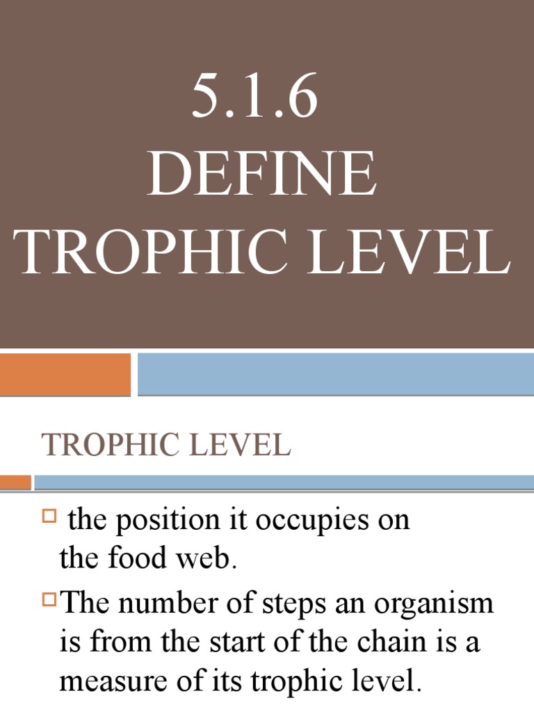 Understanding Trophic Levels and Decomposers | PDF