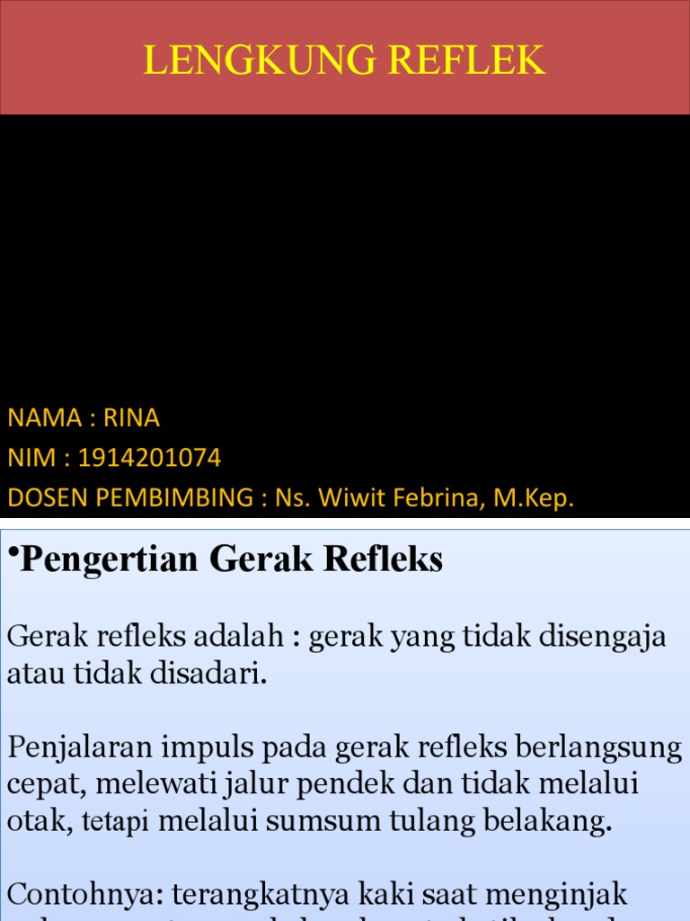 Power Point Refleks Lengkung | PDF