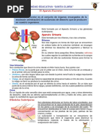 Catalogo Spinreact 2021 | PDF | Colesterol | Orina