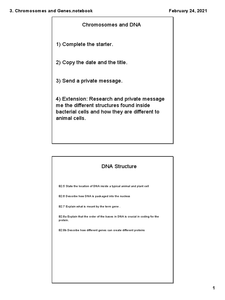 DNA Structure | PDF | Dna | Gene