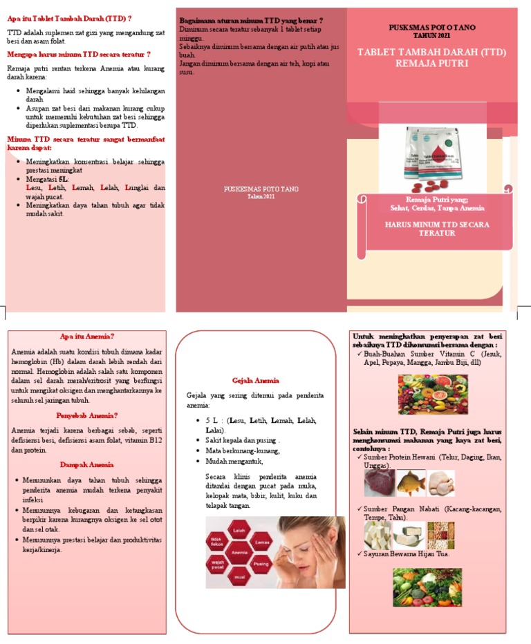 Leaflet TTD Poto Tano | PDF