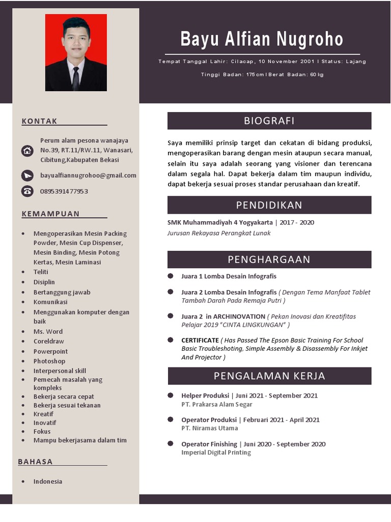 Cv-Bayu Alfian Nugroho | PDF