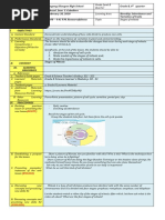 Mitosis Lesson Plan Using 7e's | PDF | Mitosis | Cell (Biology)