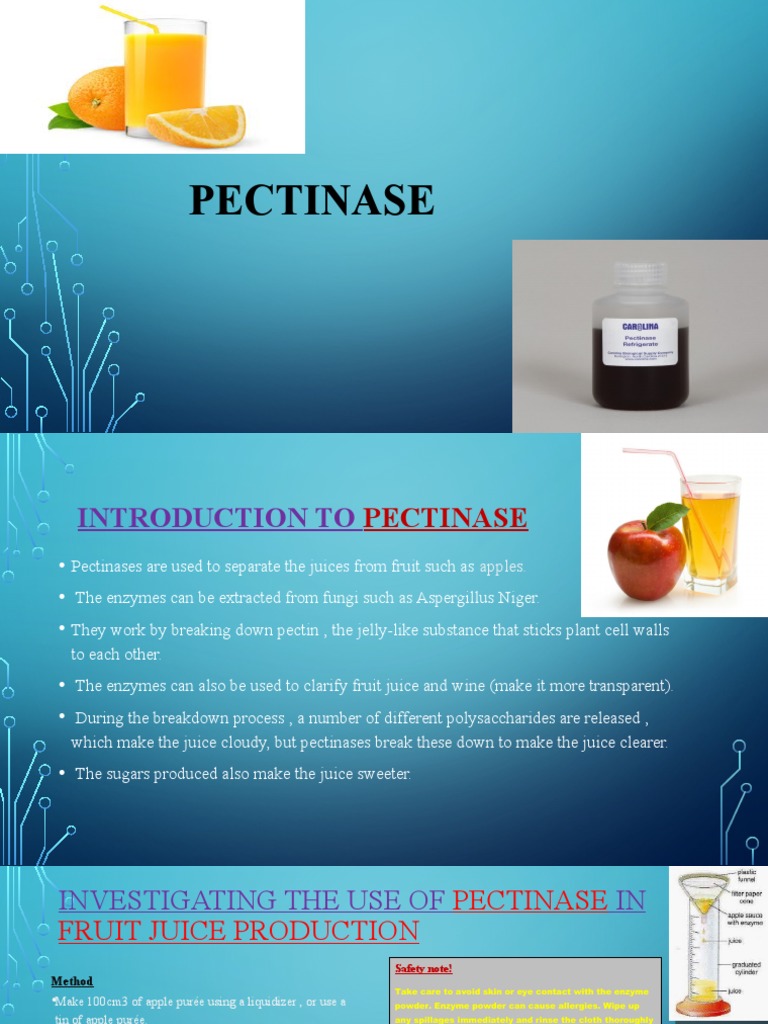 Pectinase | PDF