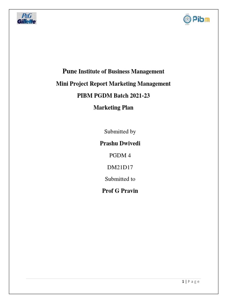Gillette Marketing Management Project | PDF | Shaving | Razor