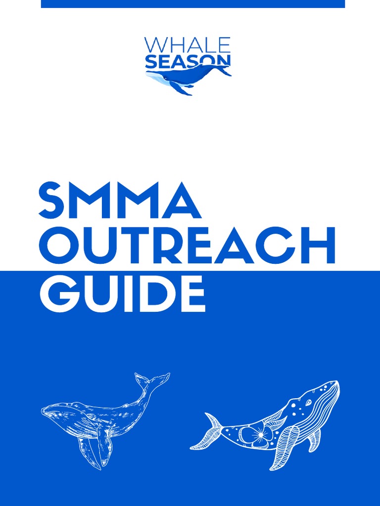 SMMA Outreach Guide | Download Free PDF | Cyberspace | Communication