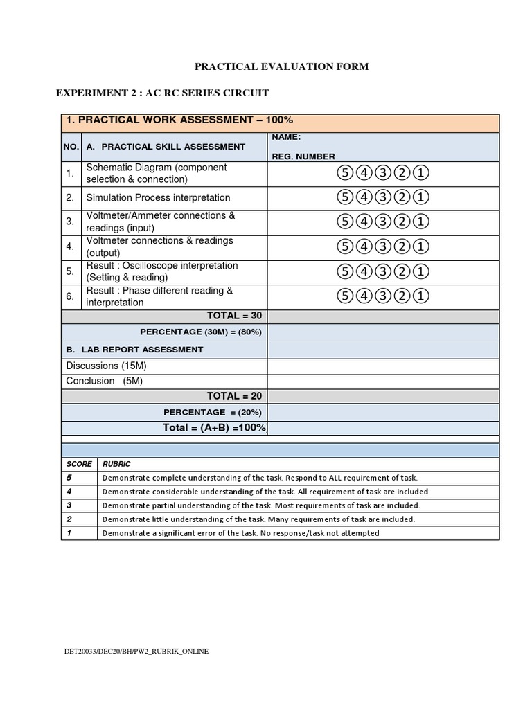 Det 20033 Practical Work 2 Evaluation Form | PDF