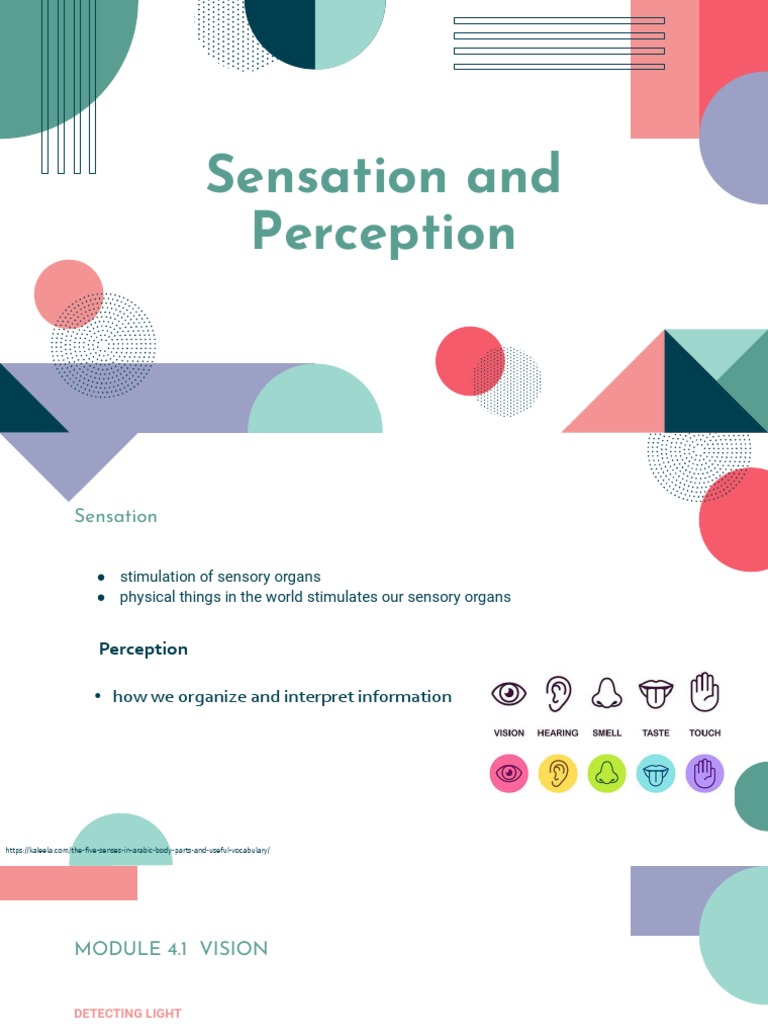 Understanding Sensation and Vision | PDF | Visual System | Eye