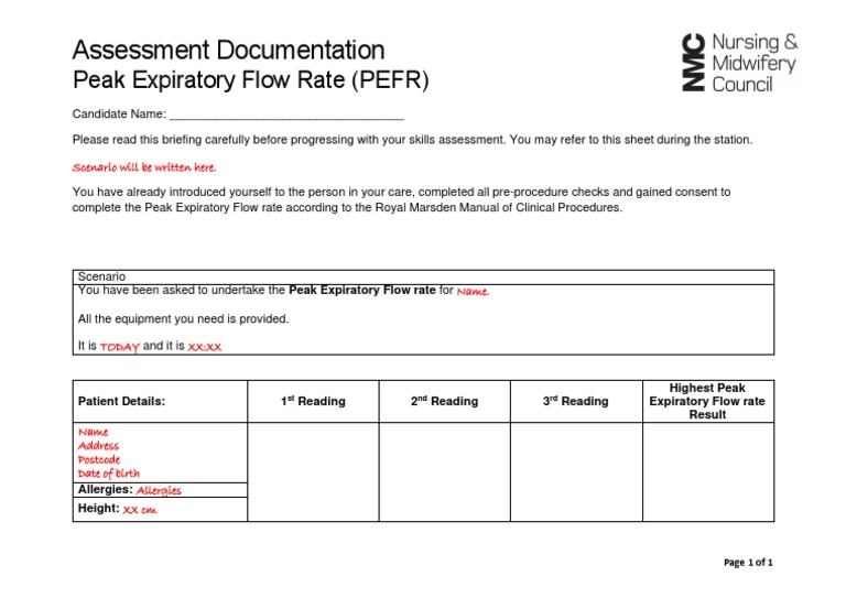 Adult Mental Health PEFR Blank v1.6 | PDF