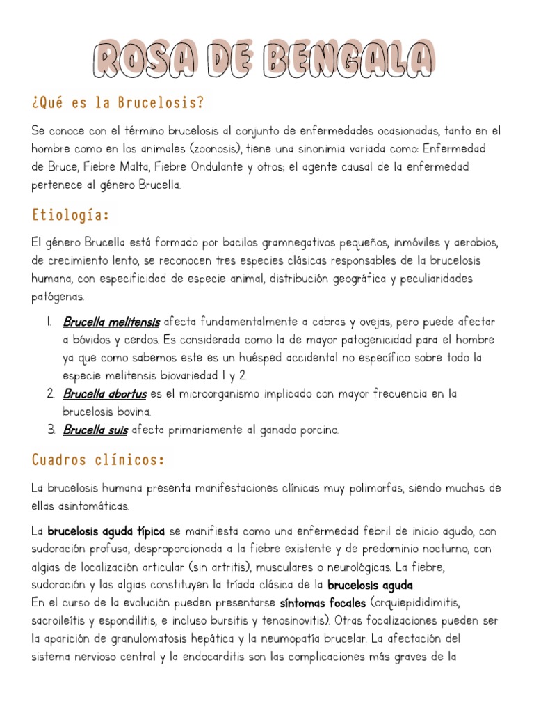 Rosa de Bengala | PDF | Especialidades Medicas | Medicina CLINICA