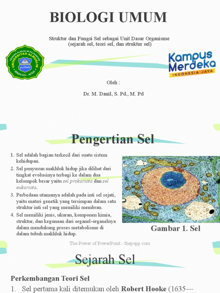 Ppt Struktur Dan Fungsi Sel Sejarah Teori Dan Struktur Sel Pdf