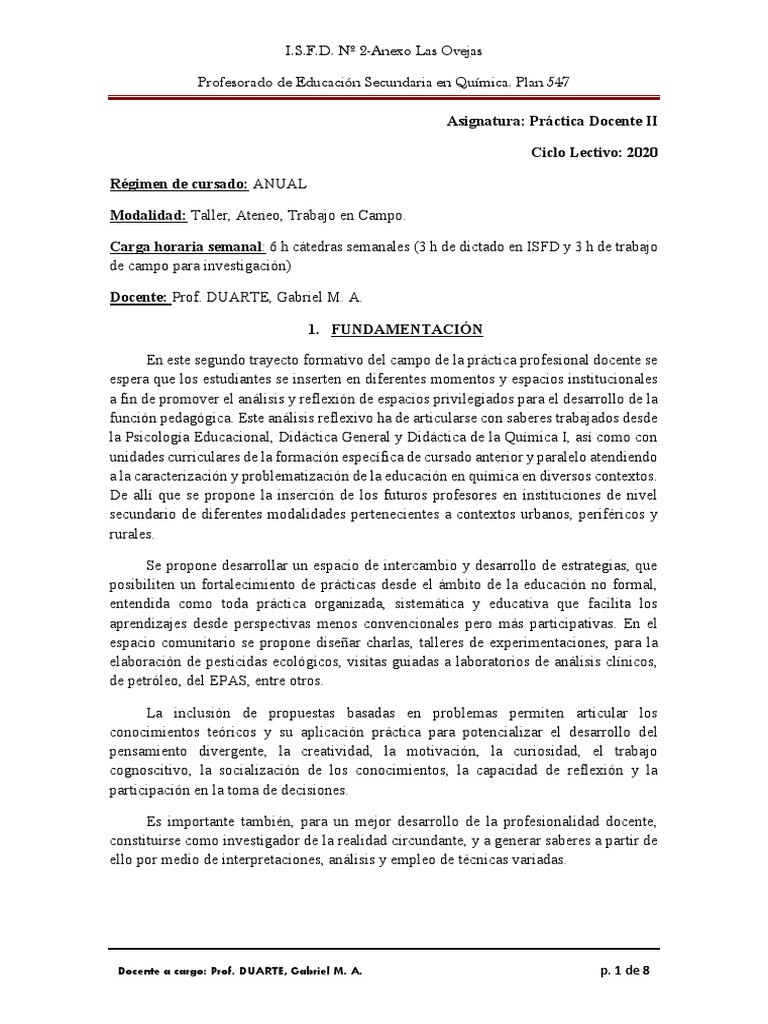 Programa Final-Pract Doc II-2020 | PDF | Plan de estudios | Maestros