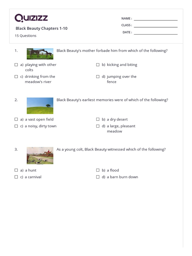 Black Beauty Chapters 1-10: 15 Questions | PDF