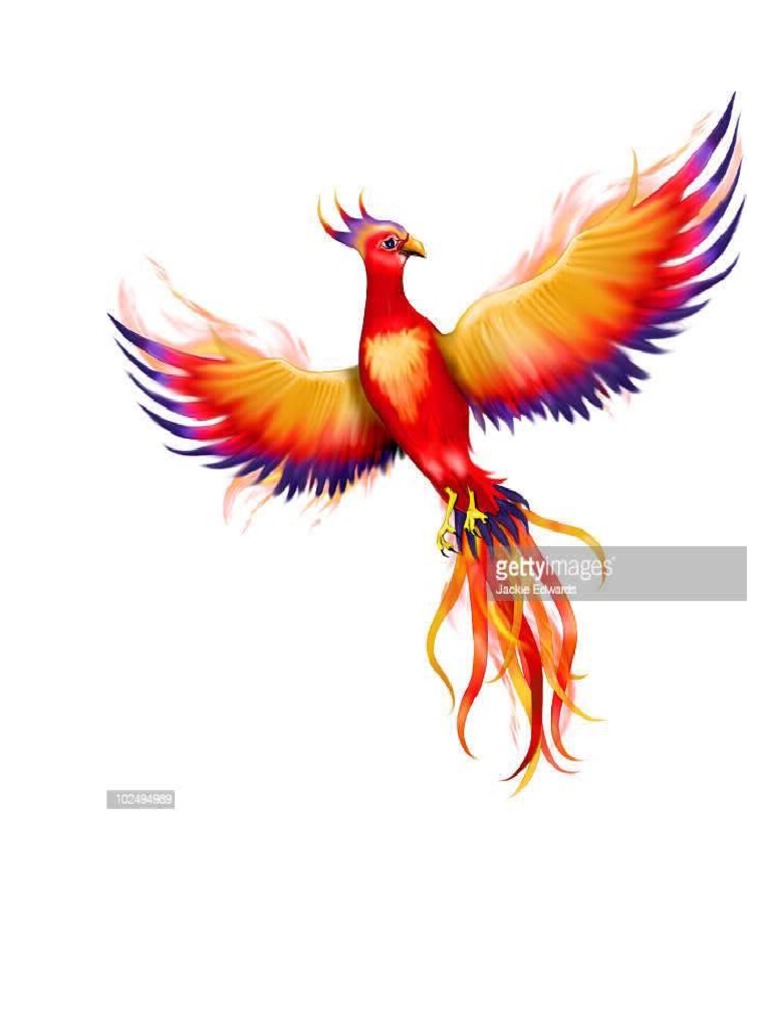 Fenix Real | PDF