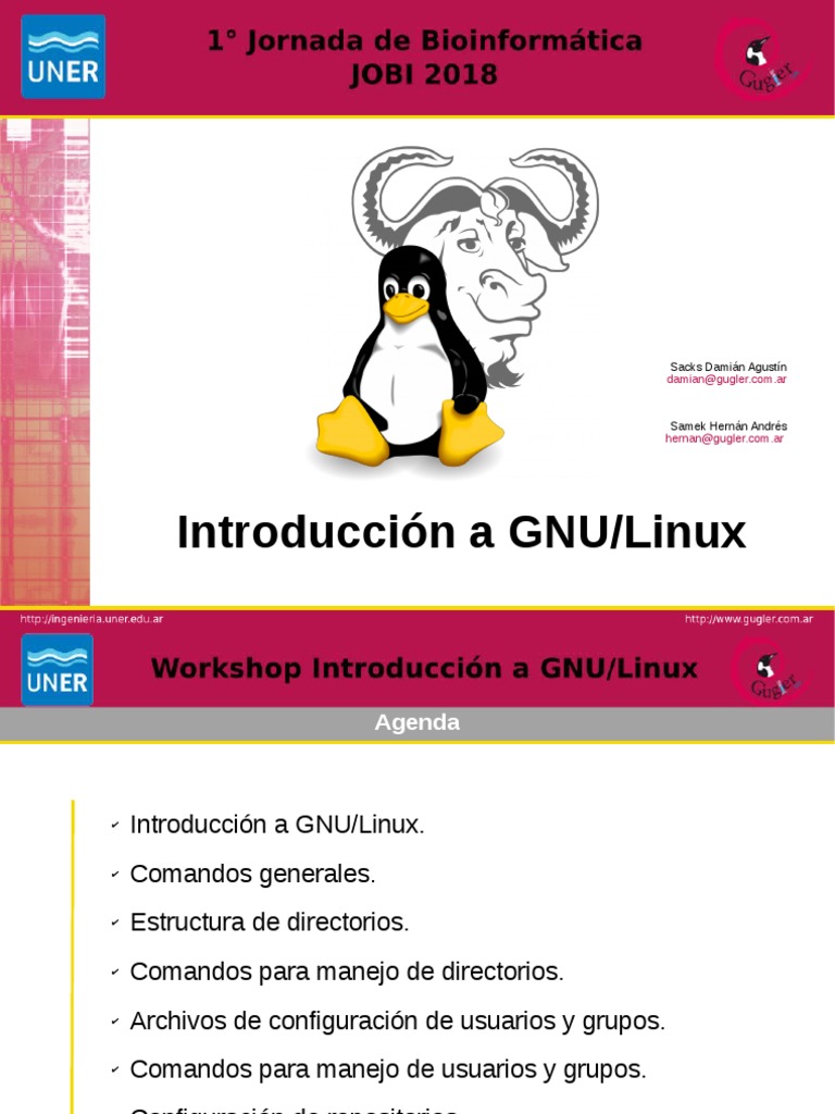 Guía Completa de Comandos y Estructura en GNU/Linux | PDF | Distribución de Linux | Repositorio ...