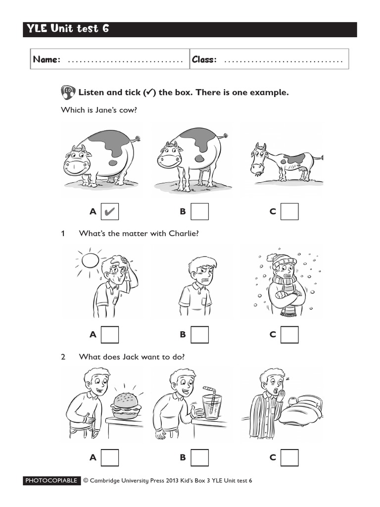 YLE Unit Test 6: Which Is Jane's Cow? | PDF