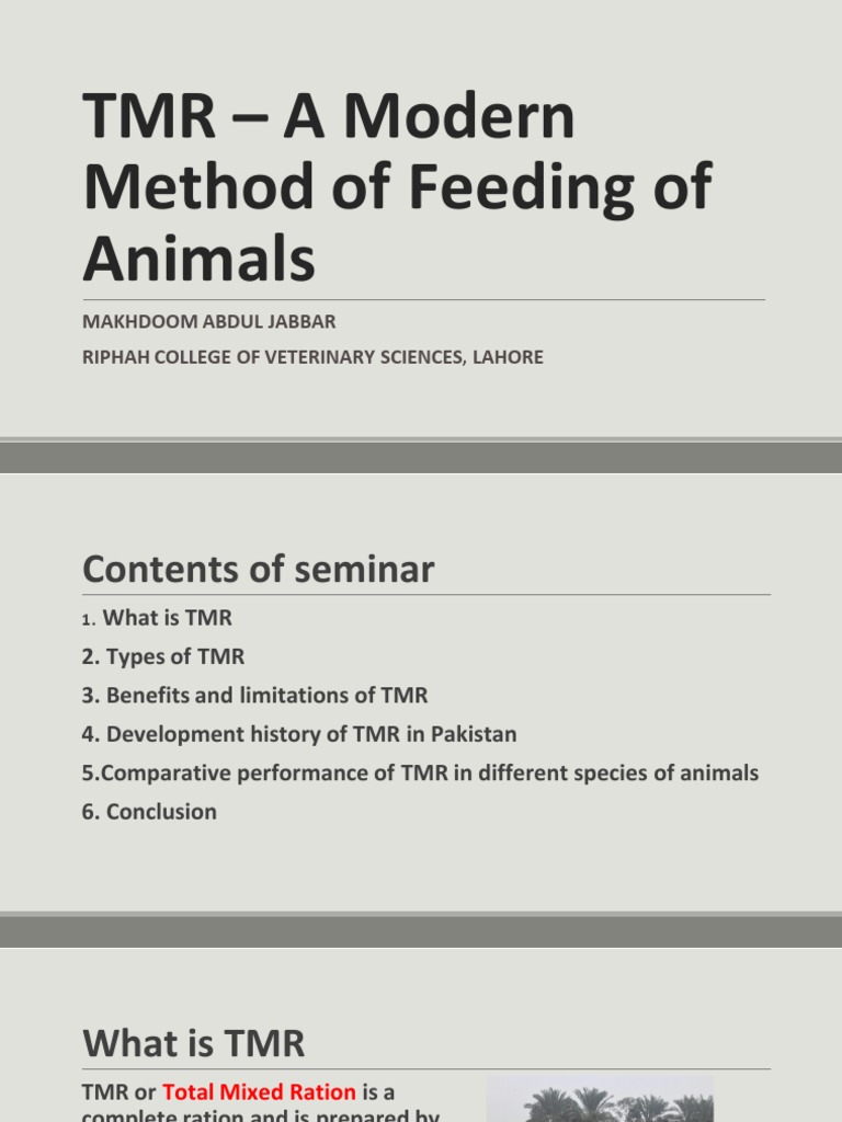 TMR and Its Use in Dairy and Fattening | PDF | Hay | Dairy Cattle