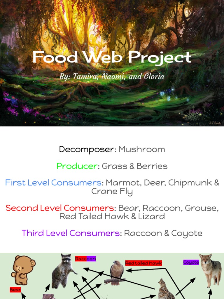 Food Web Project | PDF