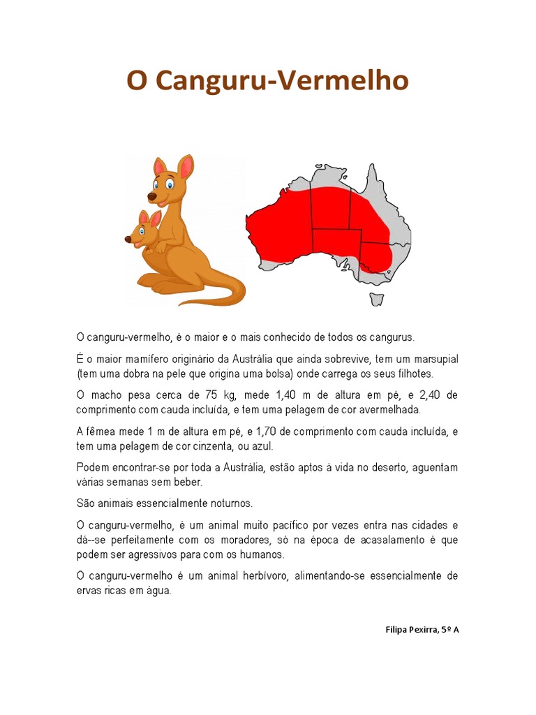 O Canguru | PDF