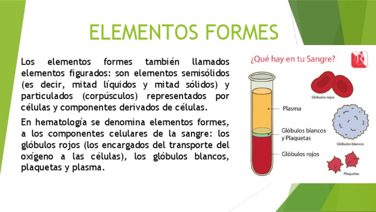 Que Son Los Elementos Formes | PDF | Ciencia y matemáticas | Clásicos