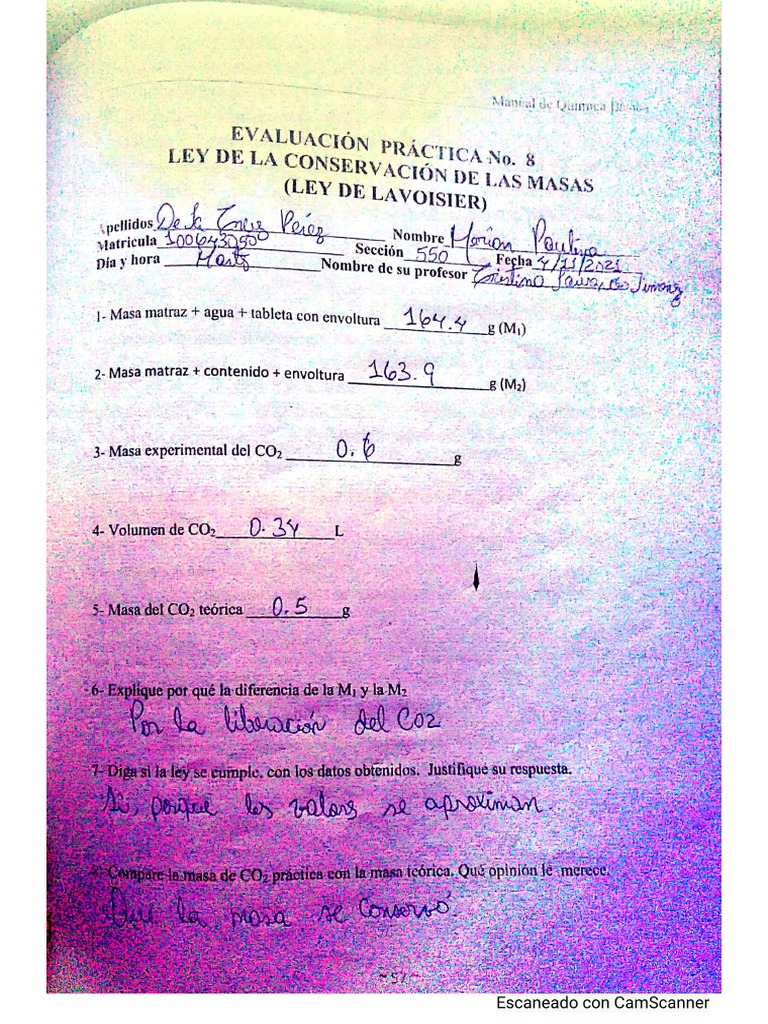 Practica #8 Protocolo | PDF