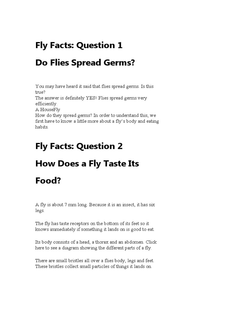 Fly Facts | PDF | Fly | Insects