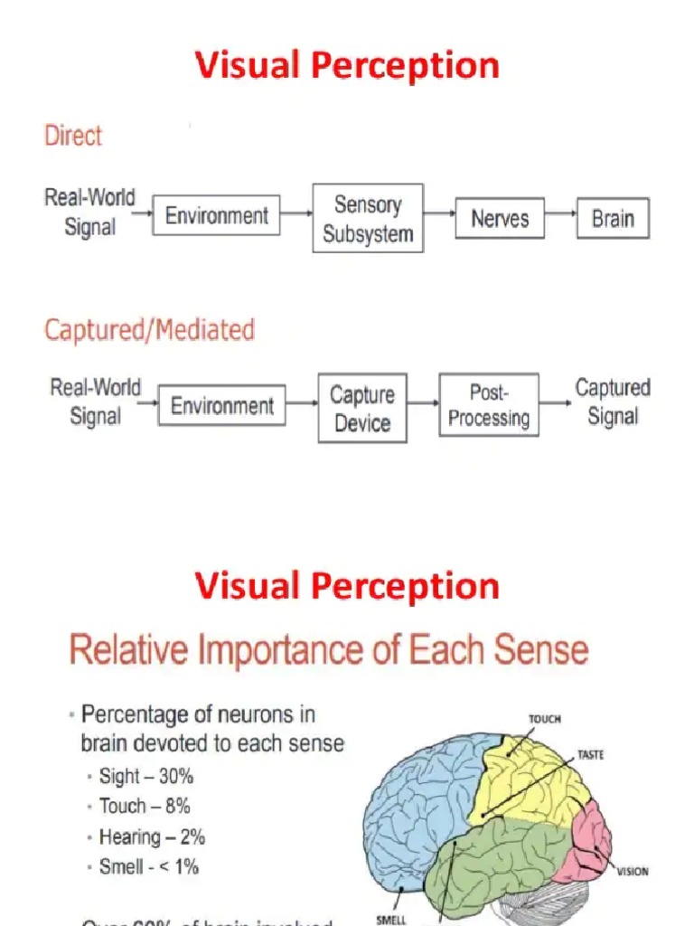 Elements of Visual Perception | PDF