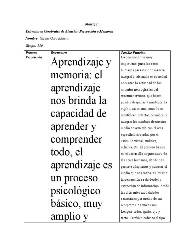 Matriz de Percepción y Memoria | PDF | Memoria | Aprendizaje