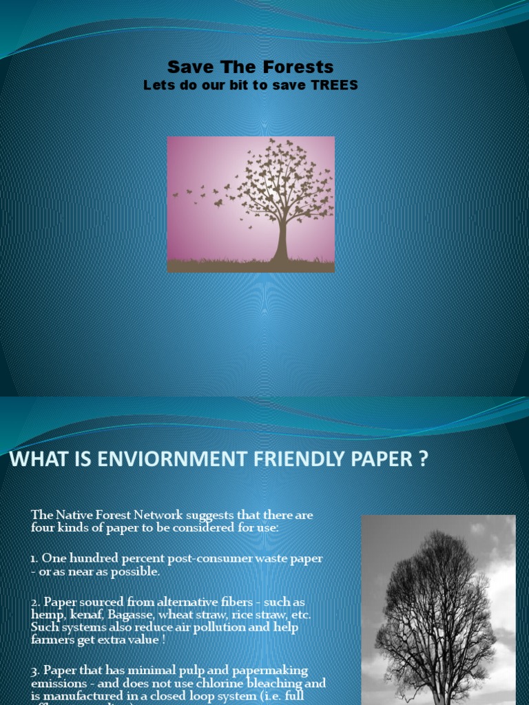 Save The Forest Foundation | PDF | Conservation | Greenhouse Gas