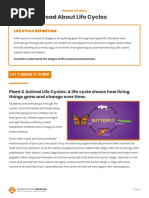 Tiger Life Cycle Explained for Kids | PDF