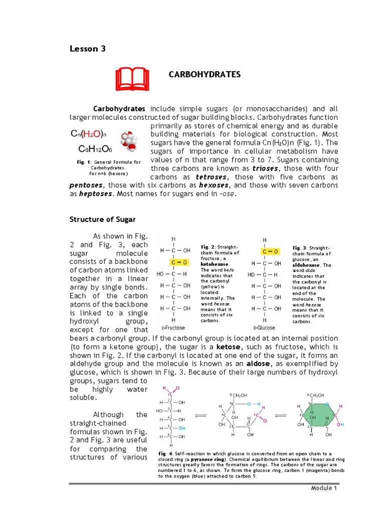Carbohydrates: Structure and Stereochemistry | PDF | Carbohydrates ...
