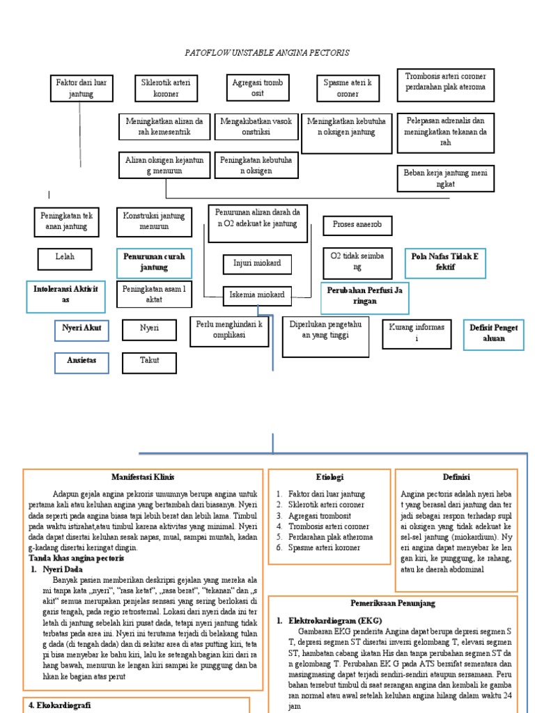 Patoflow Unstable Angina Pectoris | PDF