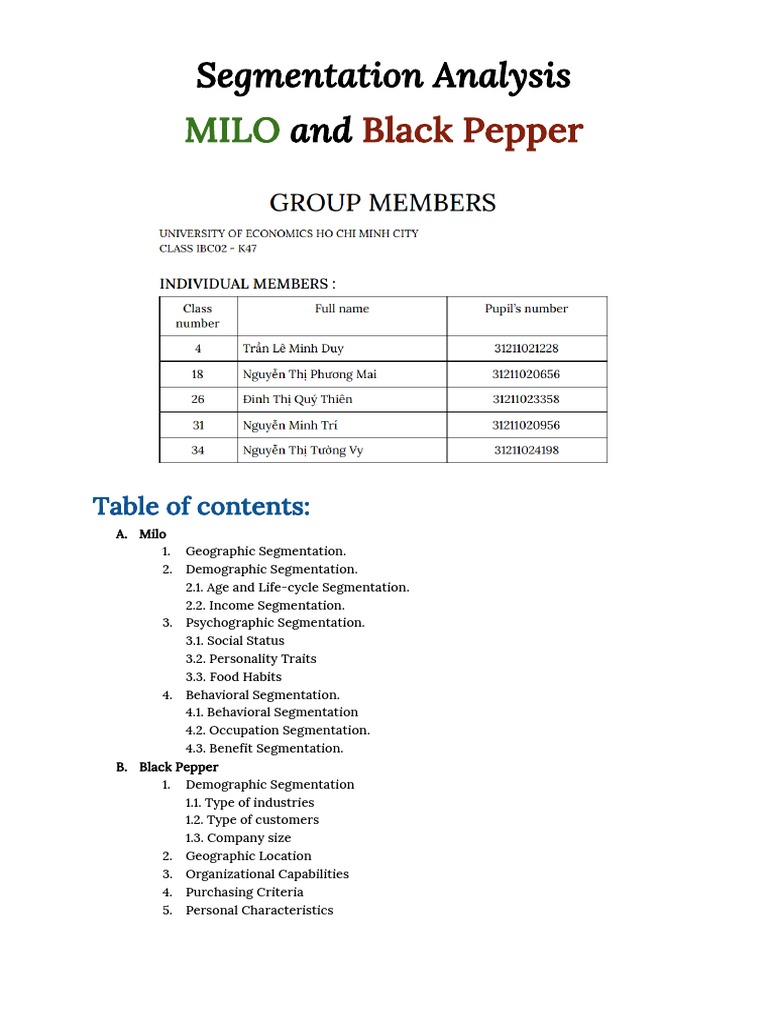 Group 3 - IBC02 - K47 - HOMEWORK - WEEK 5 | PDF | Market Segmentation ...