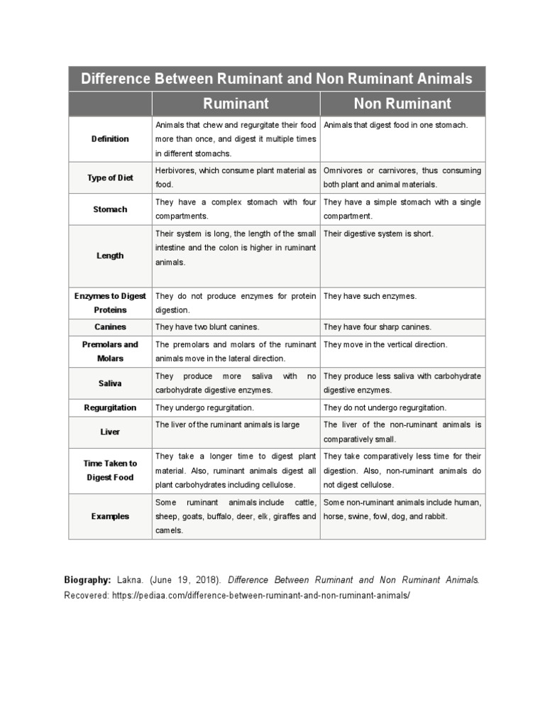 Difference Between Ruminant and Non Ruminant Animals 2 | PDF | Ruminant ...