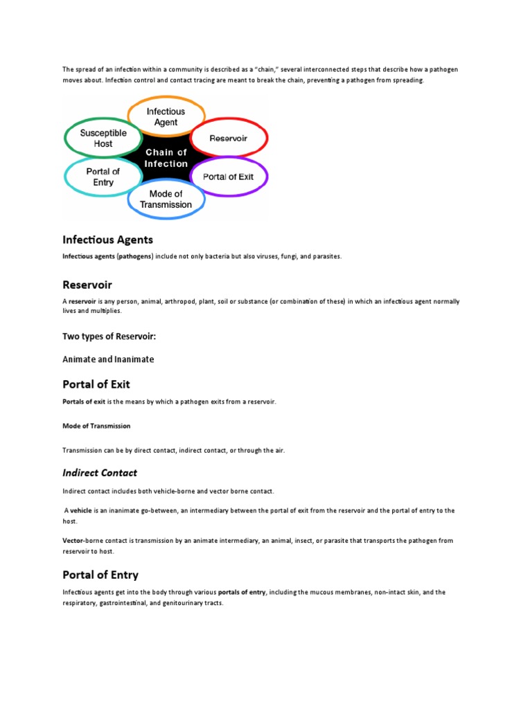 Chain of Infection, Dengue, and Uti | PDF | Urinary Tract Infection ...