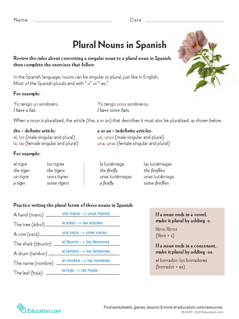 Plural Nouns in Spanish: Un Unos | PDF | Plural | Grammatical Number