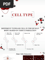 Specialised Animal Cells - Living Organisms - KS3 Biology - BBC ...