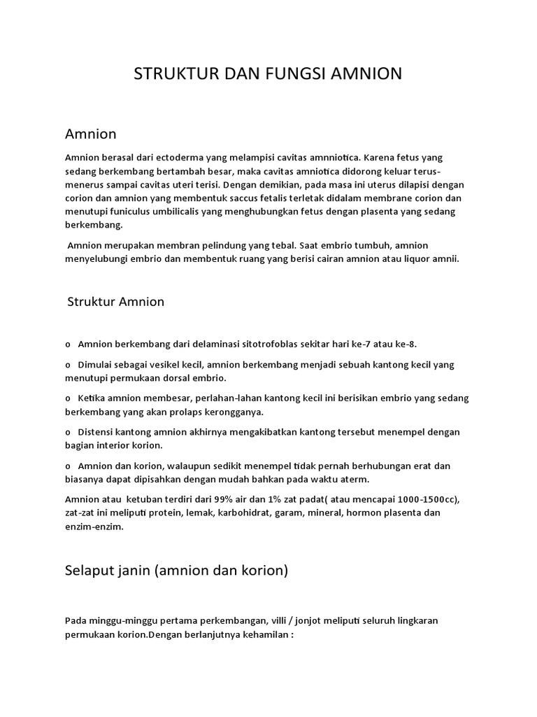 STRUKTUR DAN FUNGSI AMNION | PDF