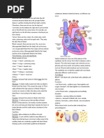 Blood and Circulation, iGCSE Biology | PDF | Circulatory System ...