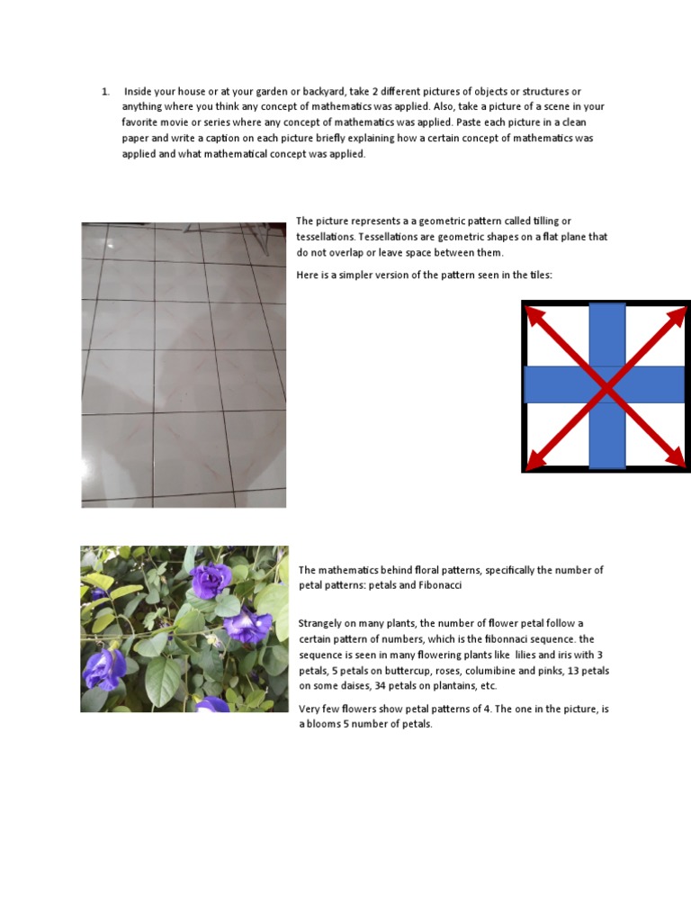 Matmod Problem Set 2 | PDF | Pattern | Petal