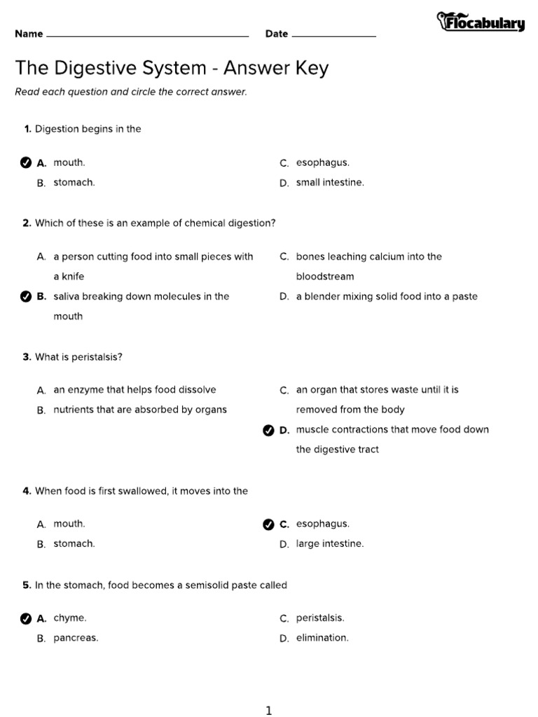 Digestive System v1 Quiz Answers | PDF