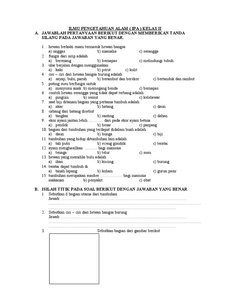 Soal IPA dan SBK Kelas II | PDF