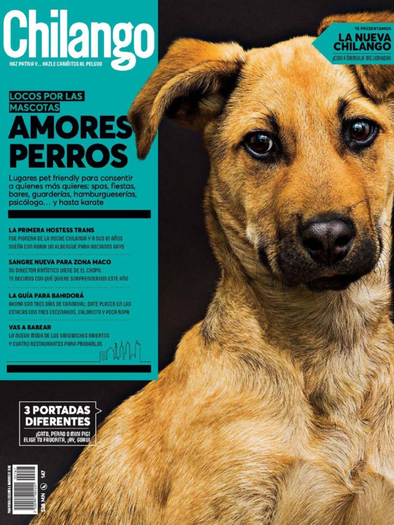Perros Mascotas Chilango - Chilango | PDF
