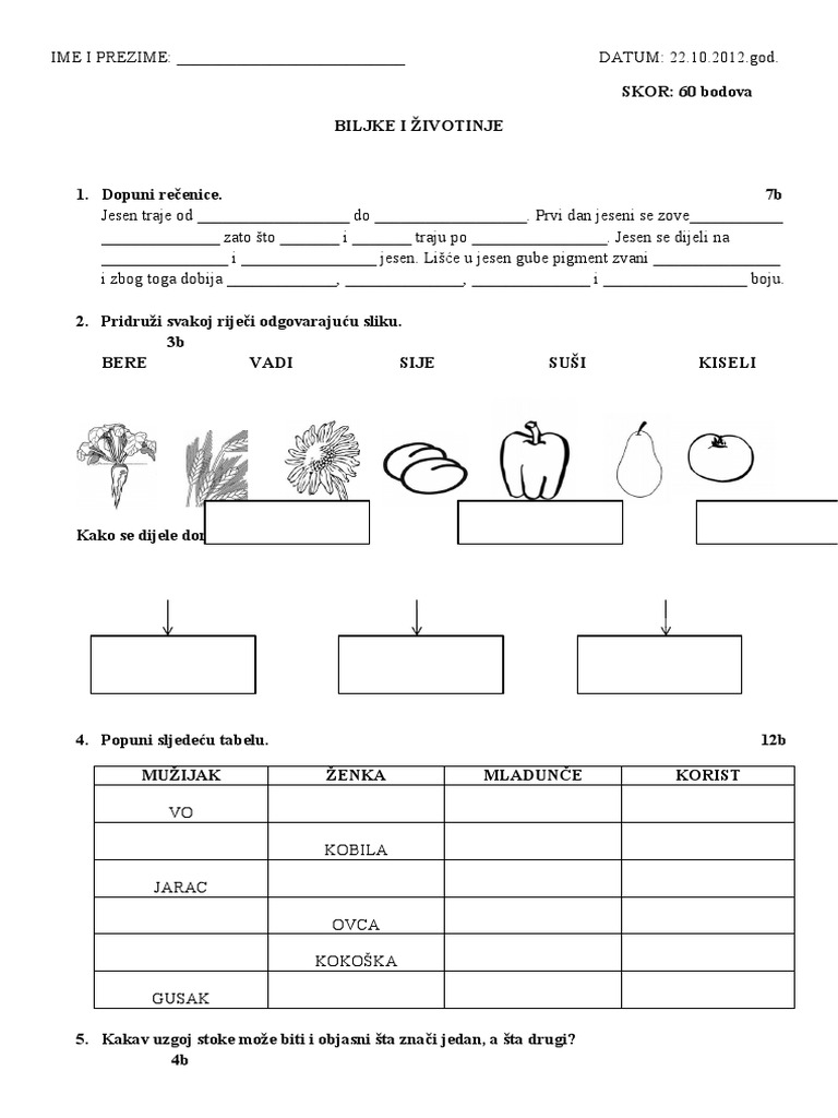 Biljke I Zivotinje Sistematizacija Pdf