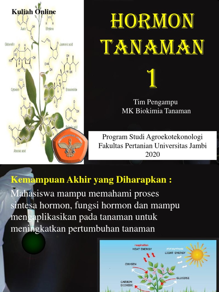Hormon Tanaman | PDF