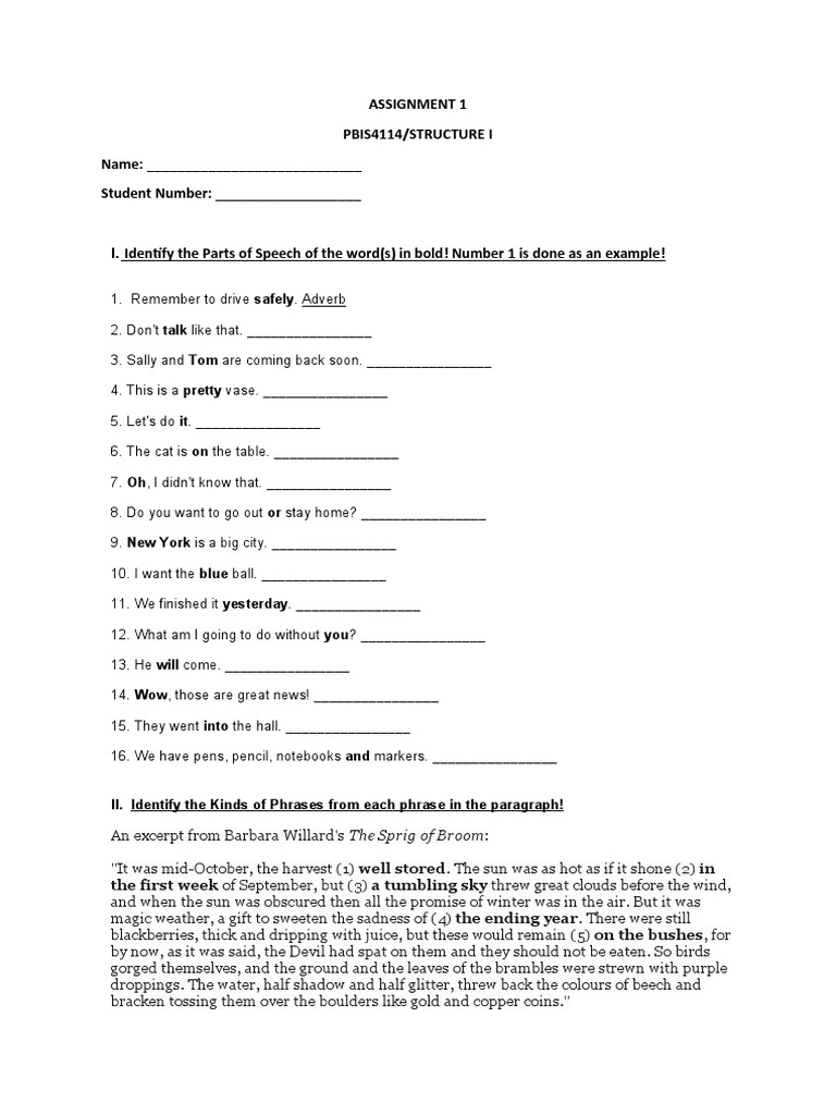PBIS4114 Assignment 1 Parts of Speech | PDF
