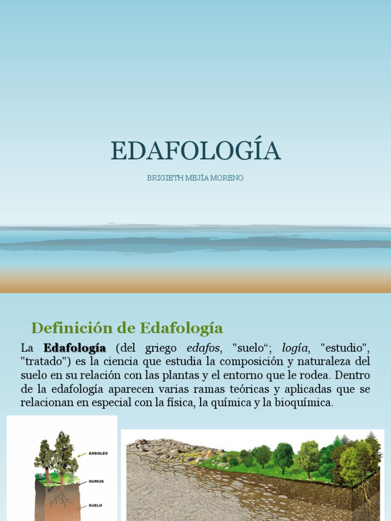 Semana 13 Edafología | PDF | Suelo | Meteorización
