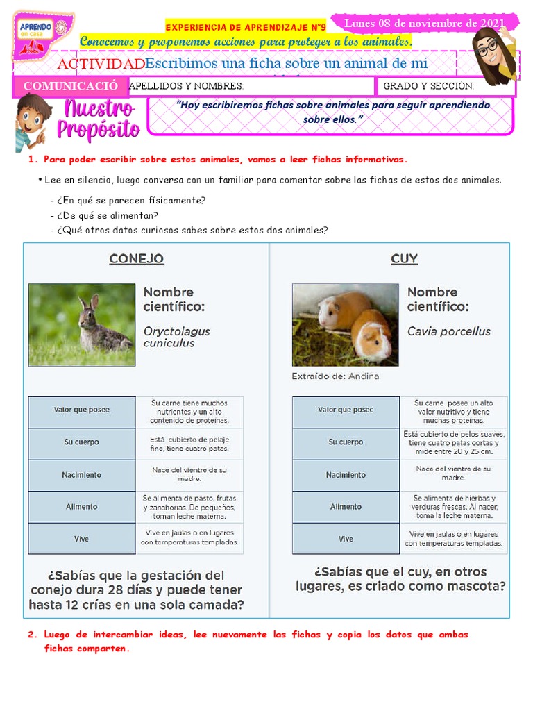 DIA 1 Escribimos Una Ficha Sobre Un Animal de Mi Comunidad. | PDF