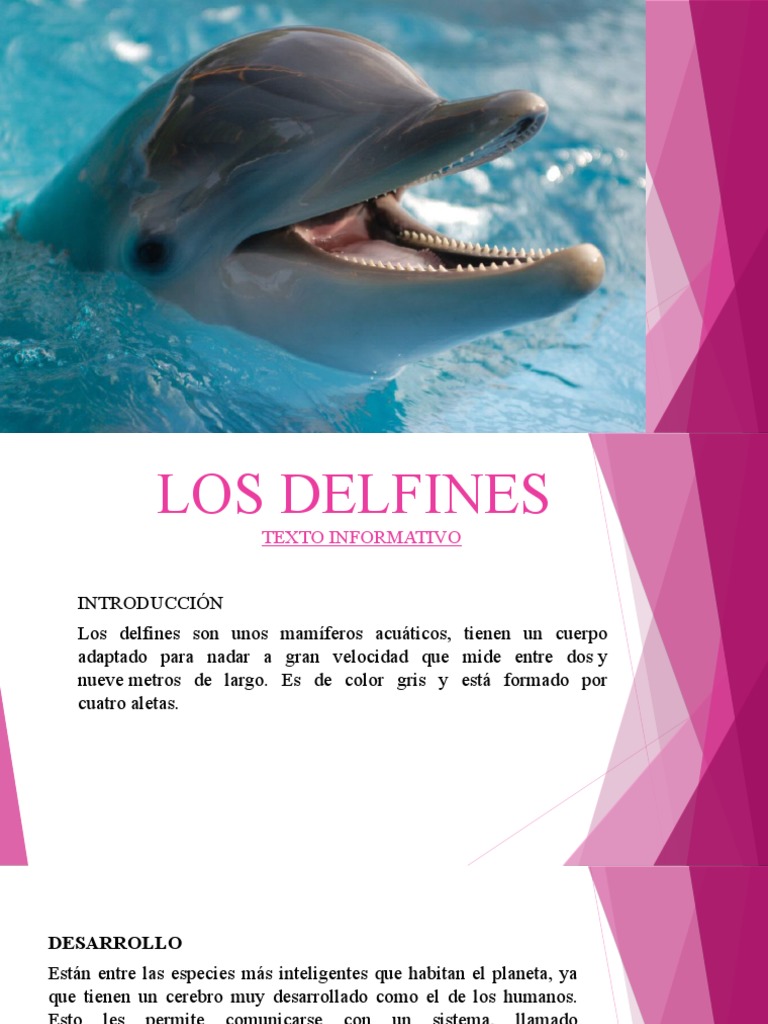 Delfines: mamíferos acuáticos inteligentes | PDF